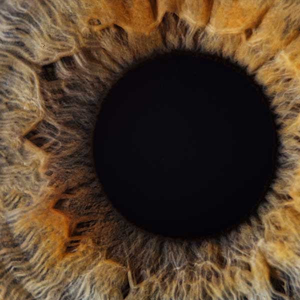 Connection between Light and Human Vision