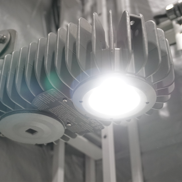 EXC - CID1 Explosion Proof Light